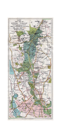 Free Epping Forest Map
